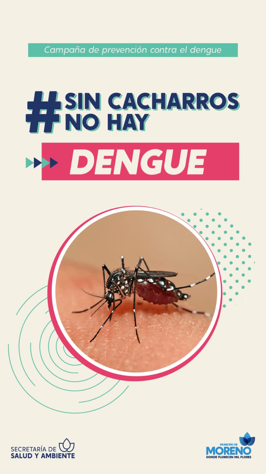 Medidas de prevención para el cuidado del Dengue, Zika y Chikungunya – Semanario Actualidad